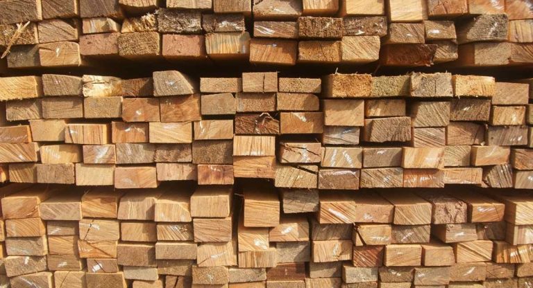 Complete Guide on How to Dry Wood - Woodturning Tips